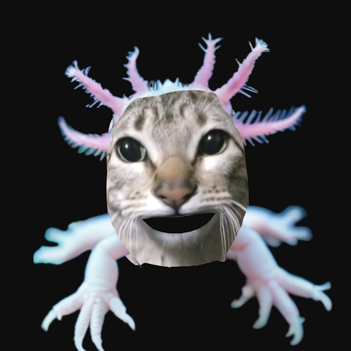Axolotl Cat